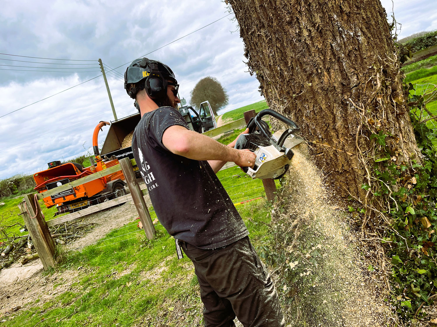 Tree Surgeon & Arborist in Oxfordshire | Climbing High Tree Care